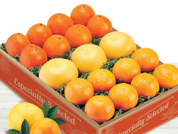 Best Ice Cream, Fresh Squeezed Juice, Florida Citrus, Gift Baskets, and ...