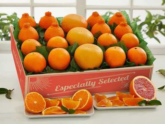 Best Ice Cream, Fresh Squeezed Juice, Florida Citrus, Gift Baskets, and ...