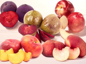 Fresh Summer Fruit | Buy Farm-Fresh Summer Fruit