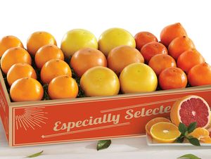 Buy Navel Oranges | Sun Harvest Citrus