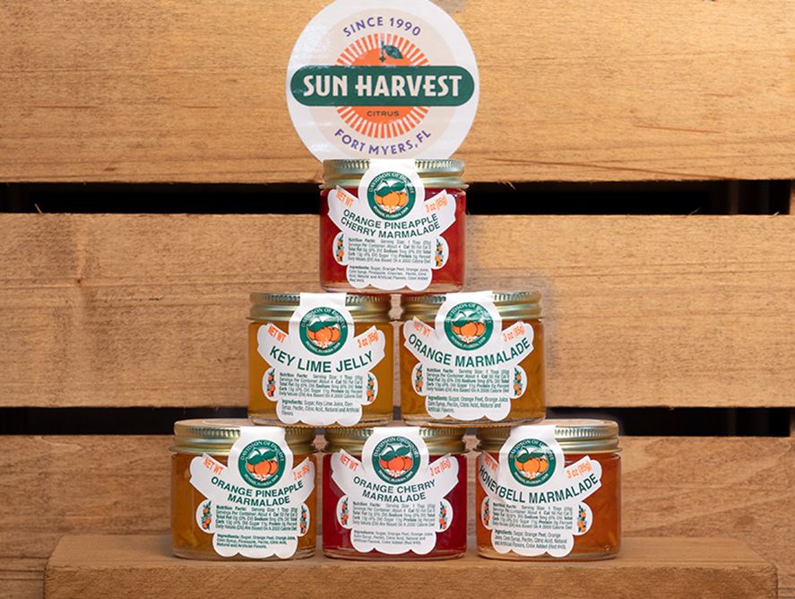 Jelly and Marmalade Sampler Pack | Sun Harvest