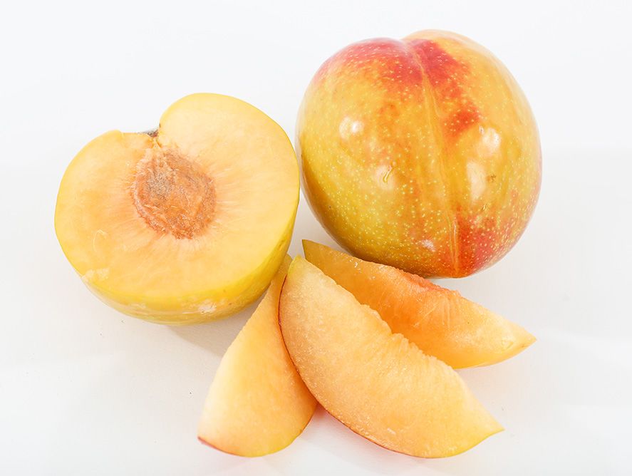 Gold Rush Plumcots | Sun Harvest