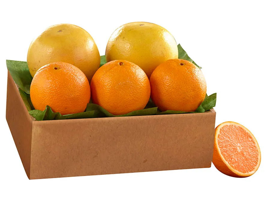 Sampler Cara Cara Navels & Red Grapefruit