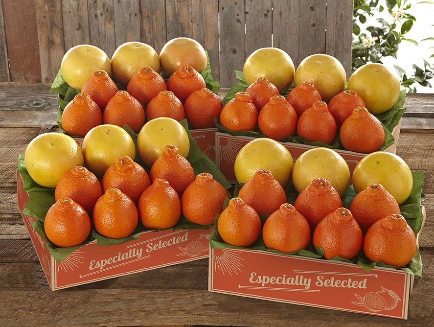 Honeybells & Ruby Red Grapefruit