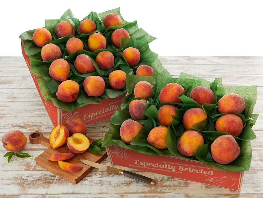 Florida Petite Peaches | Sun Harvest