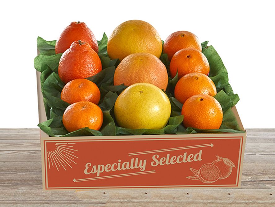 Sunshine Sweets Collection