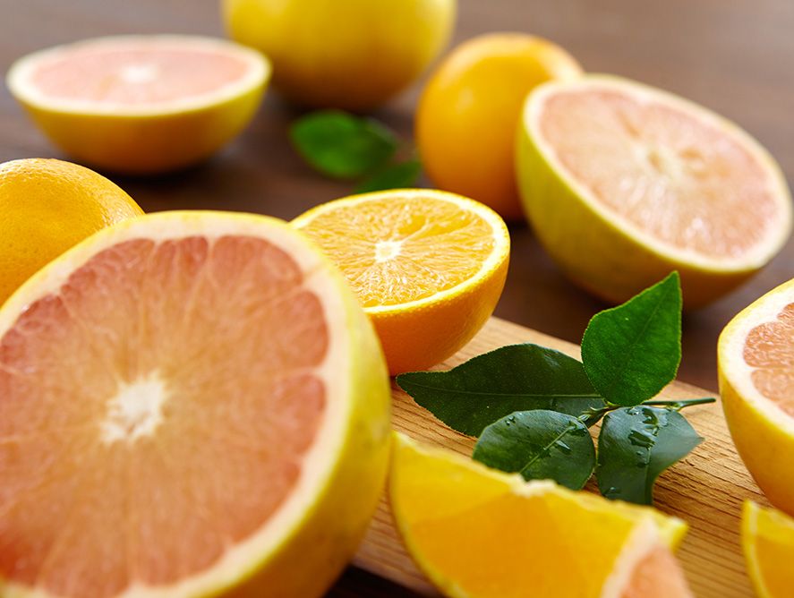 Valencia Oranges and Heritage Grapefruit | Sun Harvest